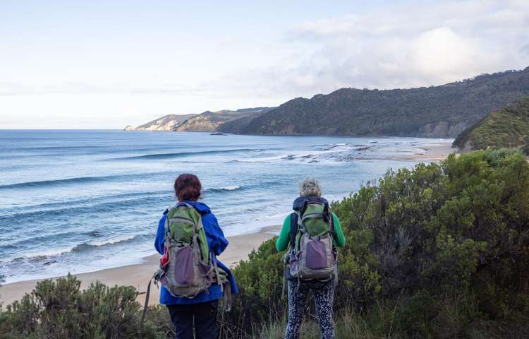 Guided Twelve Apostles Walk | The Great Ocean Walk