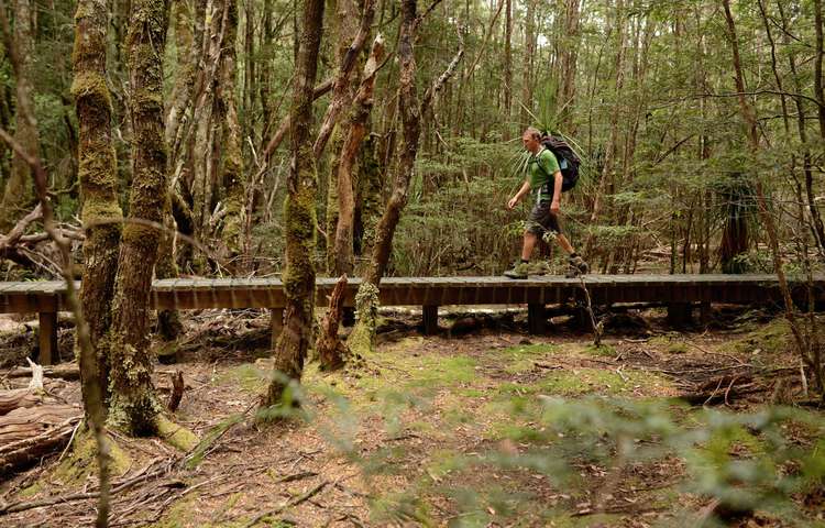 4-day Overland Track walk itinerary