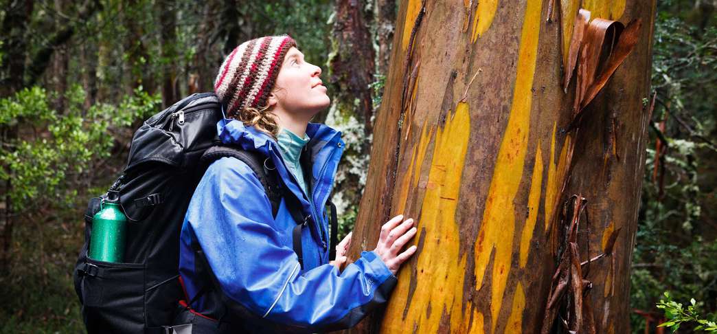 Tasmanian Winter Walks - Guided 8 Day Overland Track Adventure