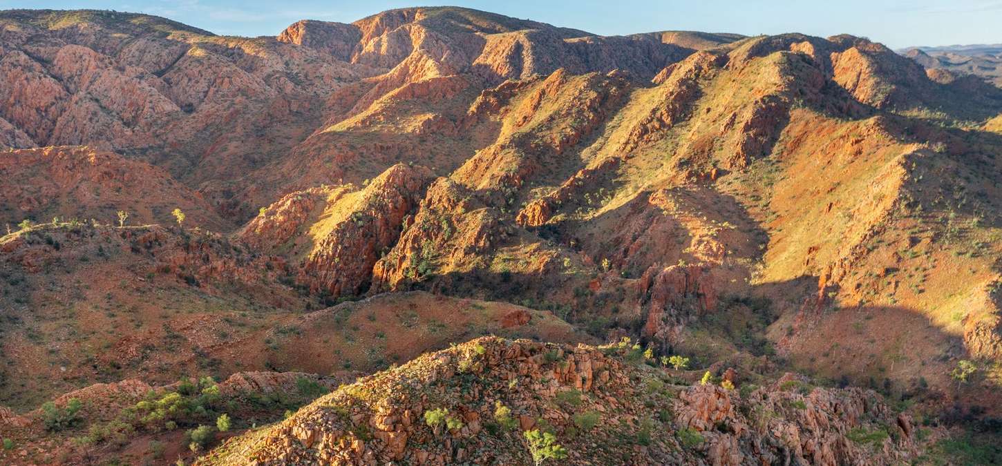 Larapinta Signature Walk