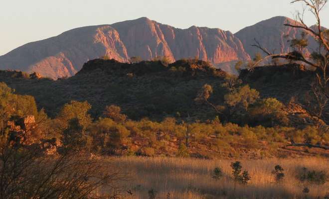 Book now - Australian Walking Company