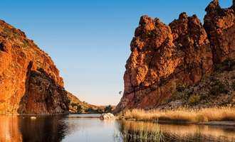 Tasmanian Guided Bushwalks- Which walk is right for me?