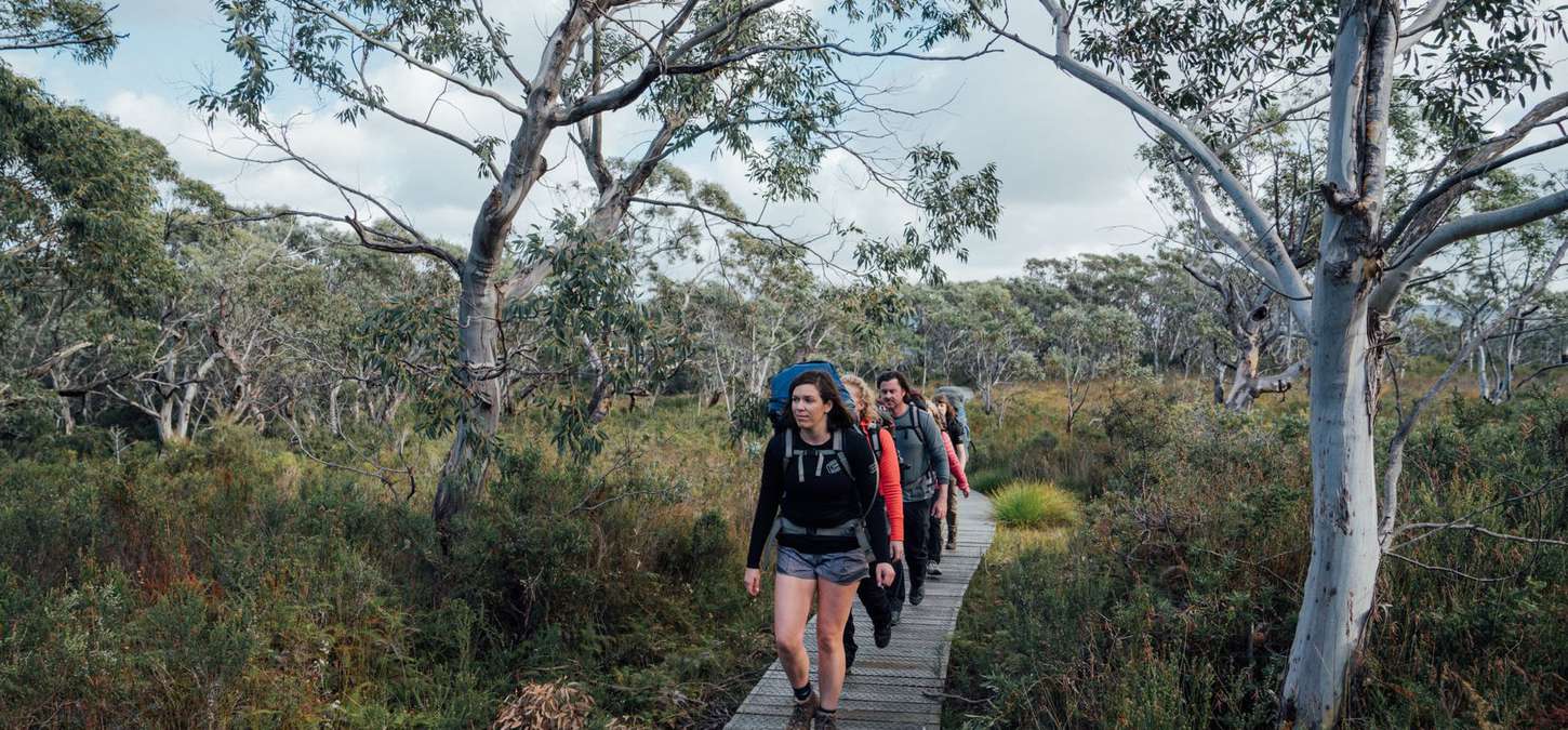 Three Capes Lodge Walk - Guided Three Capes Walk with Private Lodges