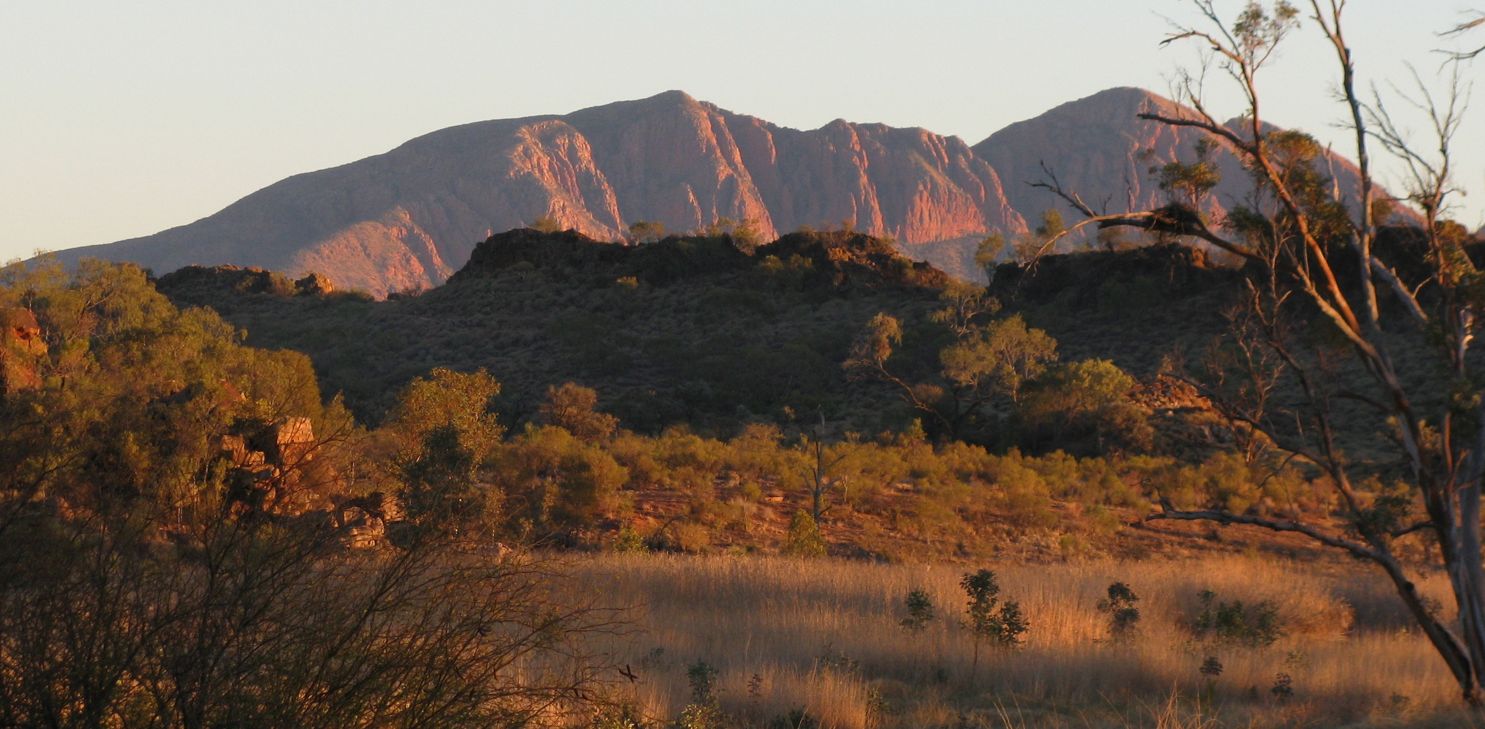 Larapinta Signature Walk
